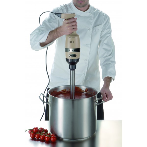 Minipimer Professionale 300 Watt verticale ad immersione stelo inox ...